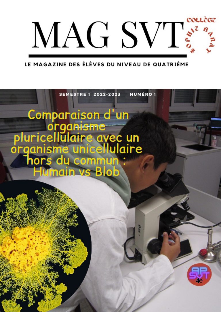 Le MAG SVT – Groupe scolaire Sophie BARAT